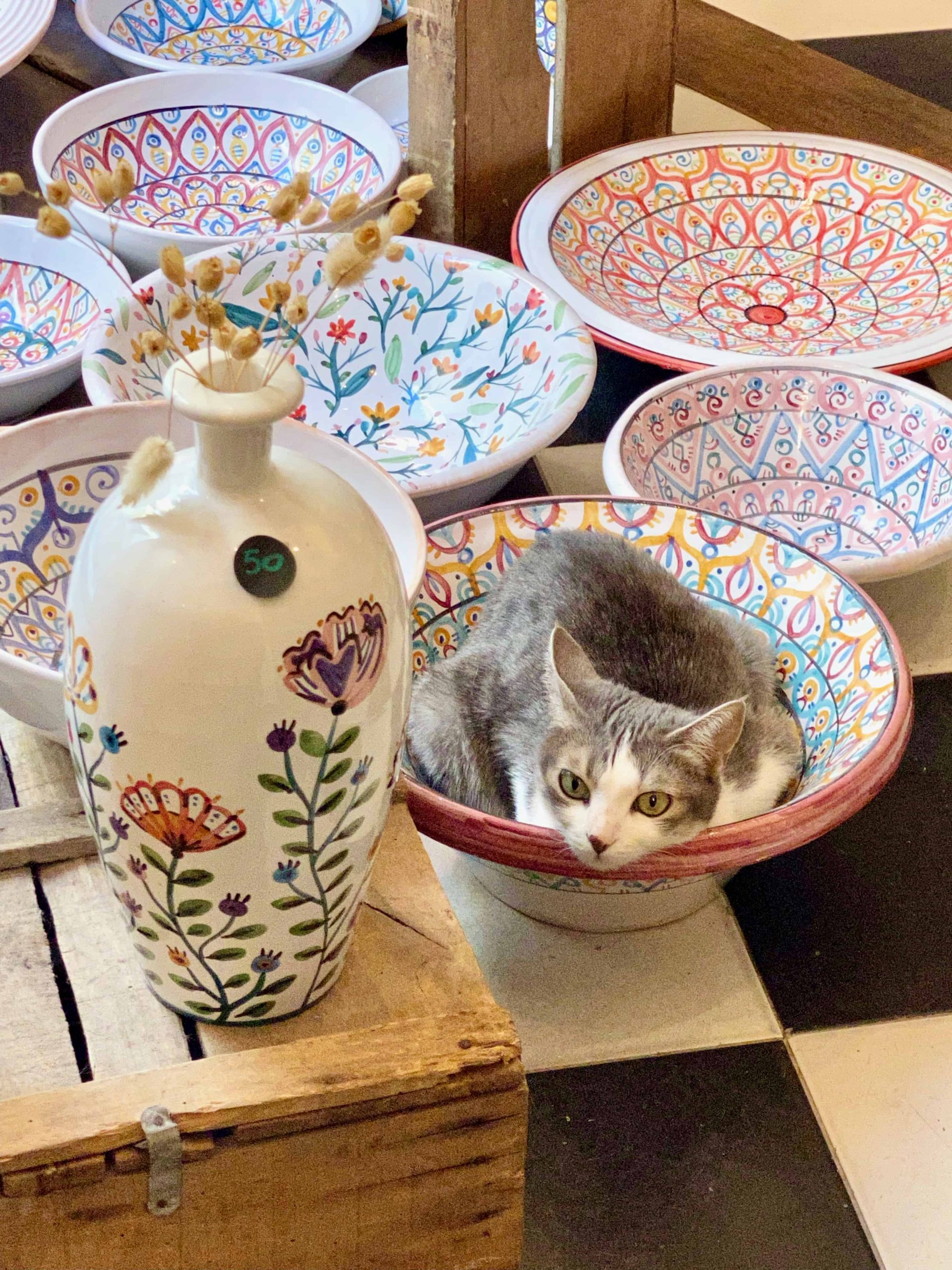 Basilicata: Crostata al Caprino (Italian Goat Cheese Tart) - Stellina ...