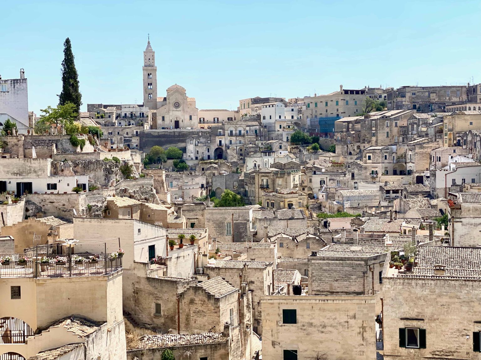 Basilicata: Crostata al Caprino (Italian Goat Cheese Tart) - Stellina ...