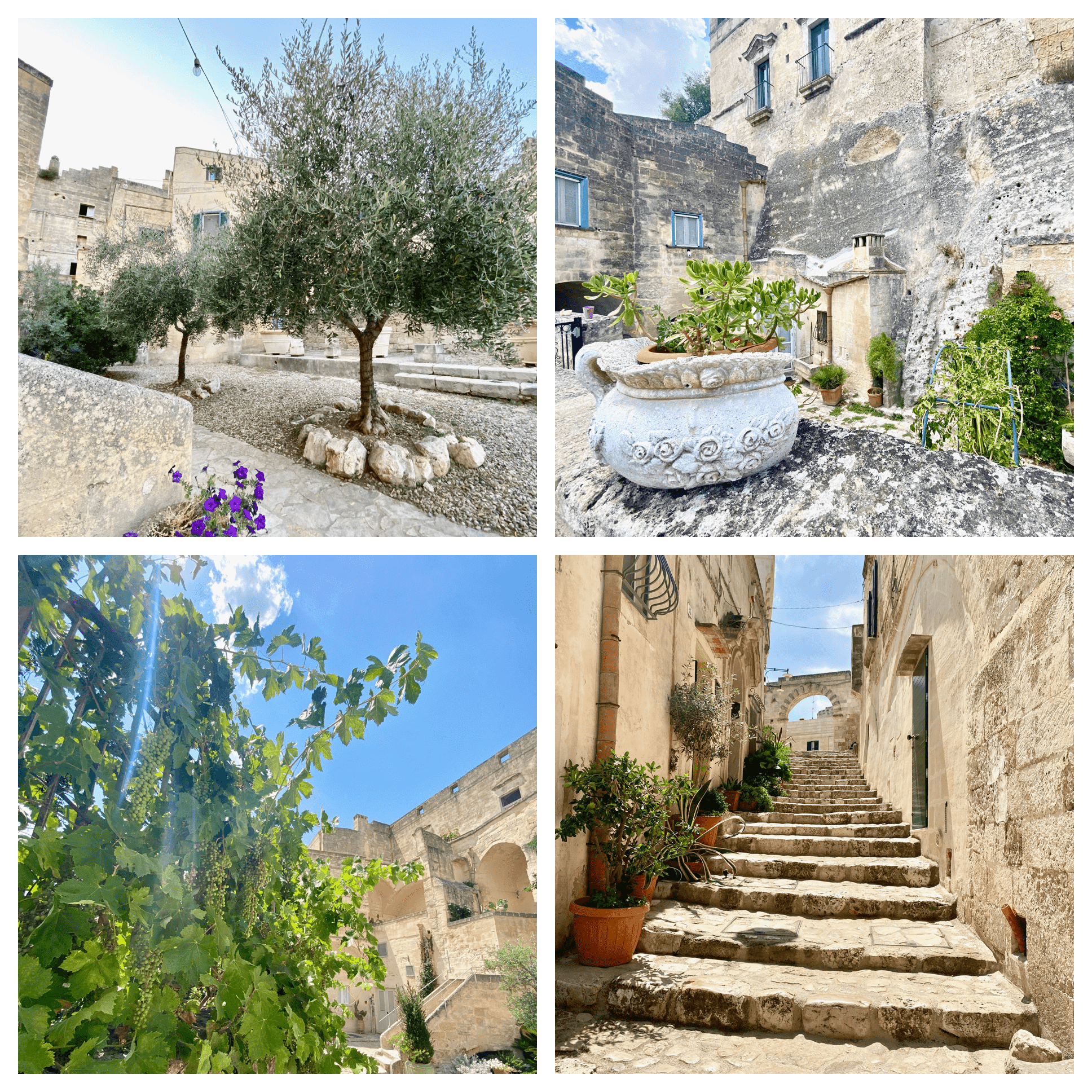 Basilicata: Crostata al Caprino (Italian Goat Cheese Tart) - Stellina ...