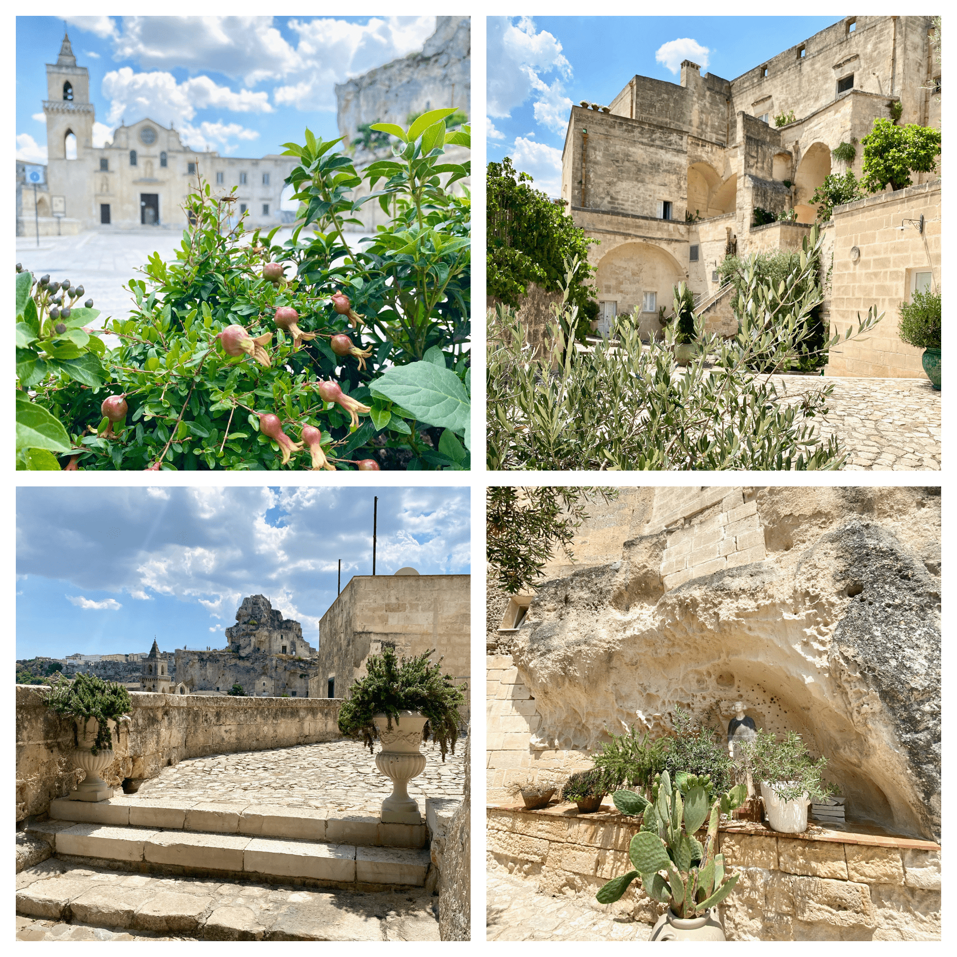 Basilicata: Crostata al Caprino (Italian Goat Cheese Tart) - Stellina ...
